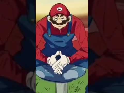 THE ONE PIECE IS REAL