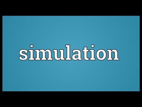 Simulation Meaning