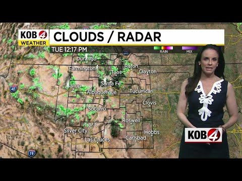 Kira Miner: Midday Forecast | May 14, 2024