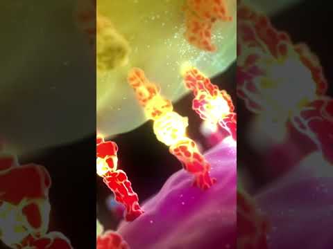Enjoy your SciArt clip! | Medical Animation