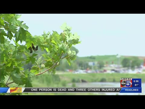 First Responders Remember Corey Brown