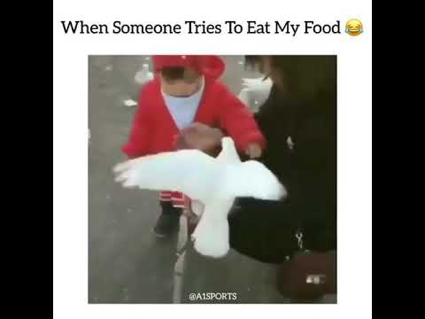 when someone try to eat your food || funny video || GIF