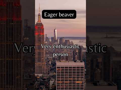 Do you know what EAGER BEAVER means? --- Learn English with Kevin 😁😉 #learnenglish #funenglish