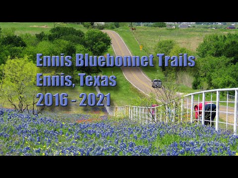 Ennis Bluebonnet Trails, 2016 to 2021