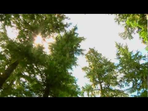 SCOREGolf TV - Episode 1