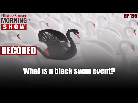 What is a black swan event?