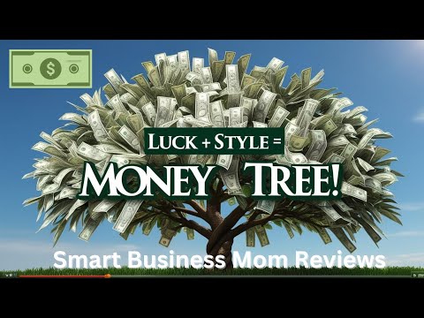 Money Tree House Plant Review: Costa Farms' Green Indoor Charm