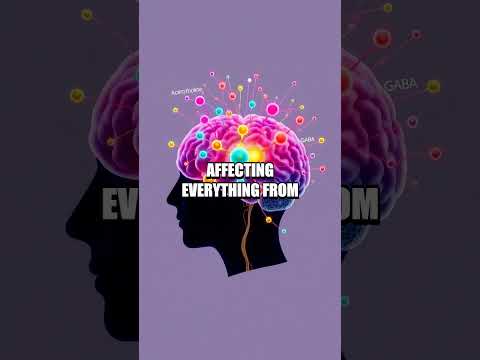 The Nervous System's Chemical Ballet: Neurotransmitter Dynamics