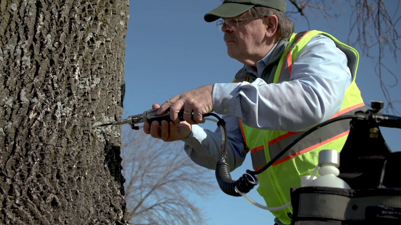 Urban Forest Master Plan
