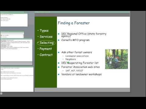 A landowner's guide to working with foresters
