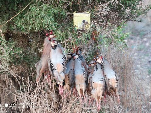 Home - Medef Defence