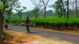 Village life, Agartala, Tripura, Rural India, Videos, North East