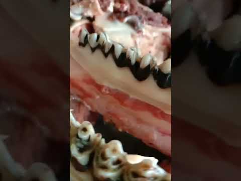 Cow Teeth: Their Number, Structure And Purpose - Rich- Farmer