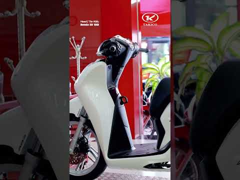Hãy cùng em Head tham khảo “Honda SH 160i 2024” nào! #sh160i2024 #sh160i #sh #shots