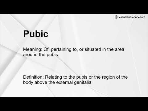 Pubic Meaning