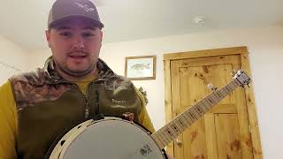 Ibanez B200 5-string Resonator Banjo - What To Know & Where To Buy ...