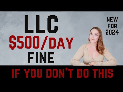 LLC 2024 New Law Requires You to File a BOI Report or Face $500/ Day Penalty