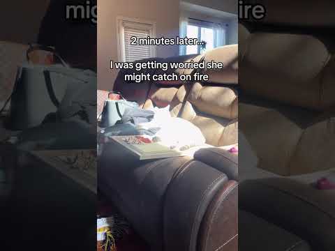photosynthesis - - - - credit: @/ashbc30 on tiktok (We do not claim ownership of this video,