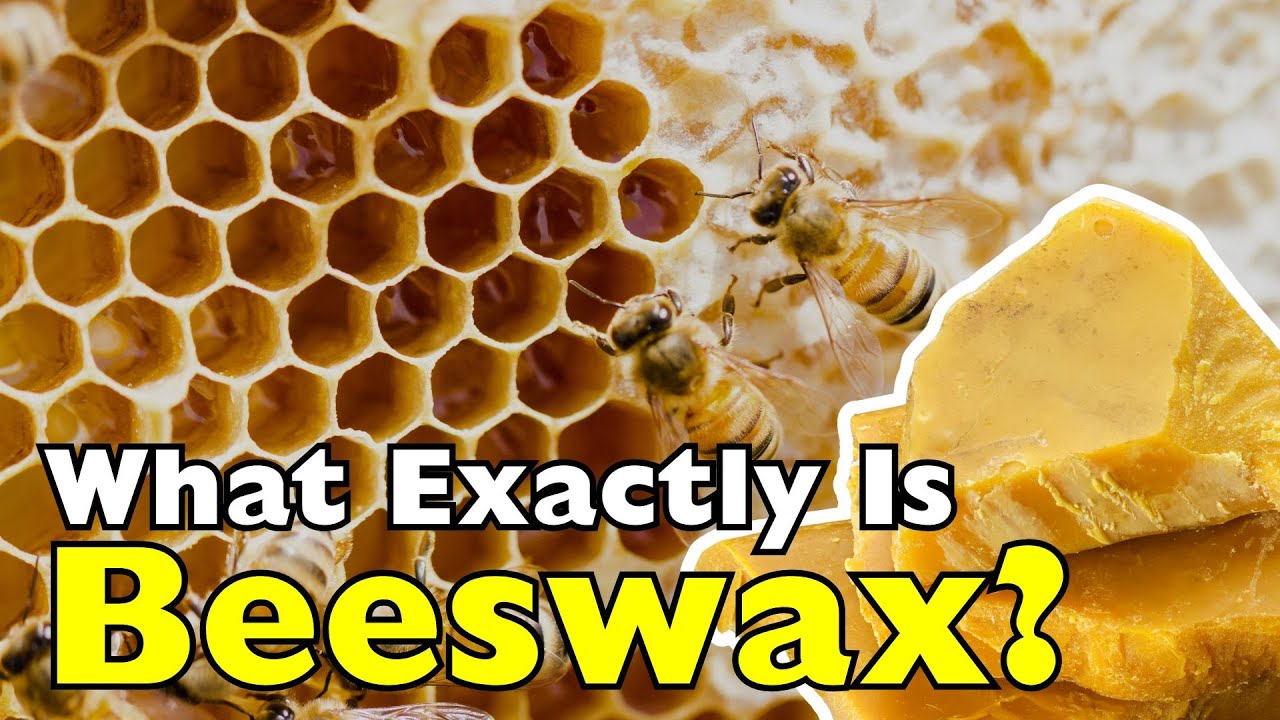 What Exactly Is Beeswax?