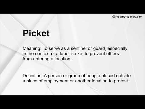 Picket Meaning