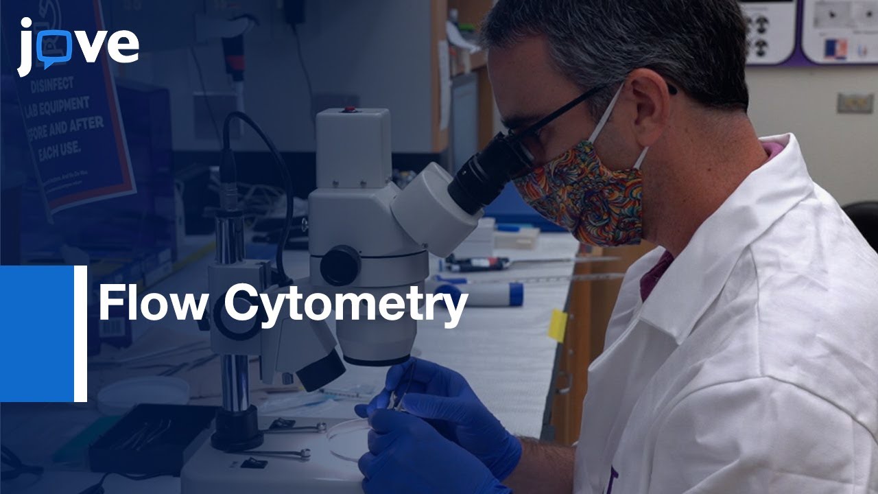 Flow Cytometric Analysis of Phagocytes | Protocol Preview