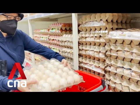 Melissa Goh, CNA: Malaysian PM Anwar scrambles to fix egg shortage ...