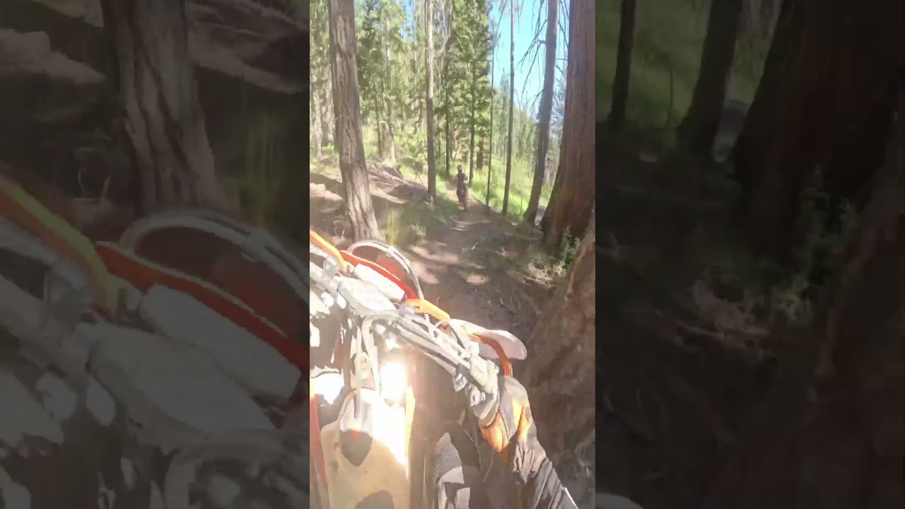 FunTimeATV.com - BOOK NOW #adventure  #fortnite