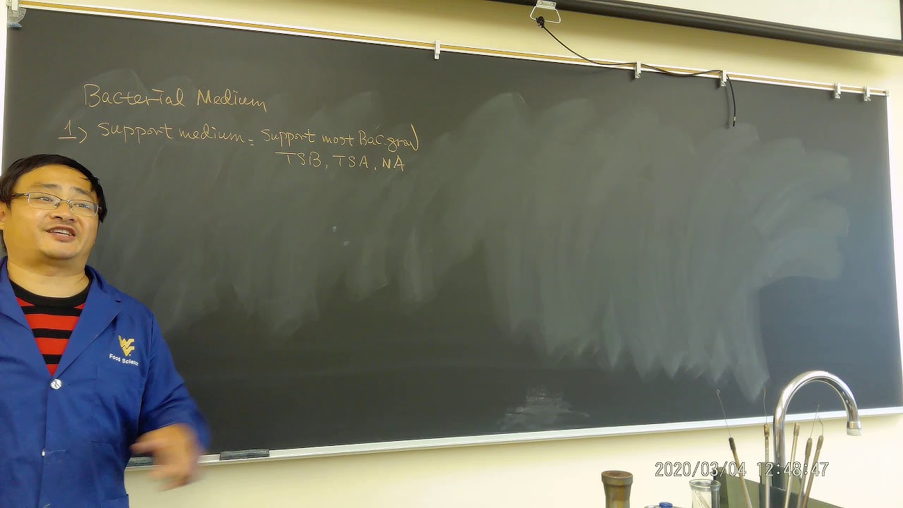 Lab 9 Tempperature and bacterial medium 1 10152020