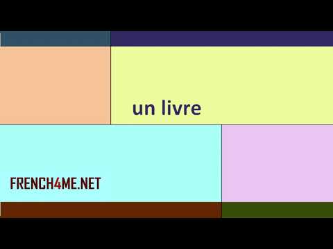 French For Beginners I How to pronounce I un livre