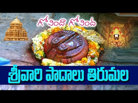 Sreevari Padaalu in Tirumala, Tirupati, Andhra Pradesh â€“ Velpu.com