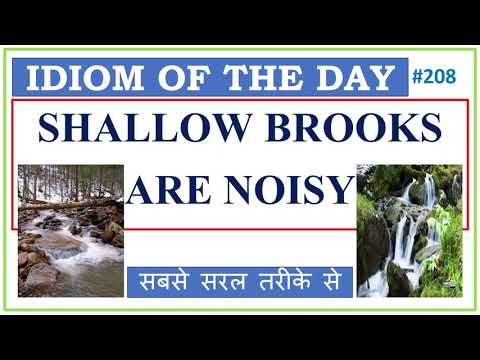 #208 "SHALLOW BROOKS ARE NOISY" | Idiom of the Day | SSC MTS 2024 | Origin | Examples | Ashwin Sir