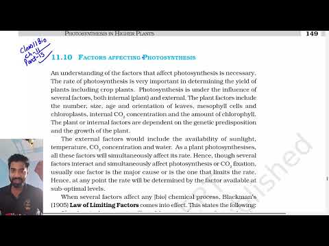 Part 15, Factors affecting Photosynthesis, Chapter 11 class 11th biology photosynthesis in Plants