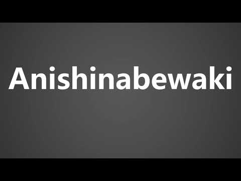 How To Pronounce Anishinabewaki