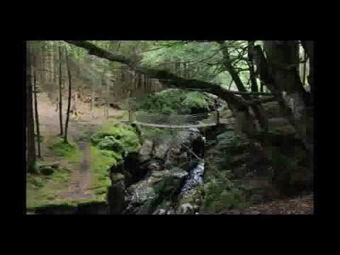 Chasm, by Scorched Earth