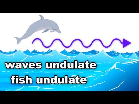 Learn English Words - UNDULATE - Meaning, Vocabulary Lesson with Pictures and Examples