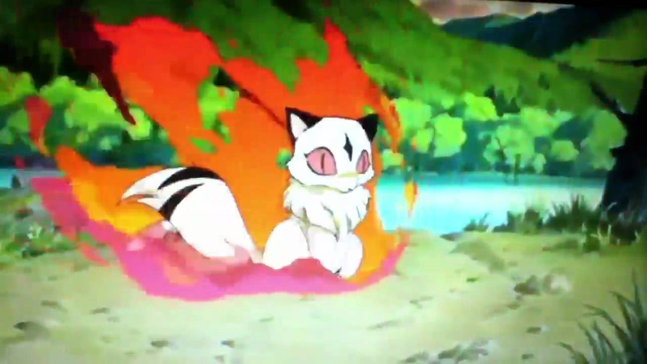 Kirara's Cute Meow!