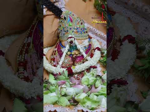 Shri Harivansh 13/05/2025 Shri Radhavallabh Ji Mandir, Shringaar Ke Darshan📍Vrindavan !!