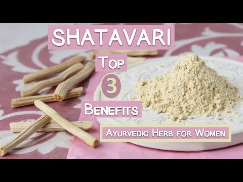 Shatavari Root at Best Price in India