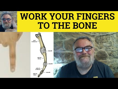 🔵 Work Your Fingers To The Bone Meaning - Fingers to the Bone Examples - Metaphors - British English