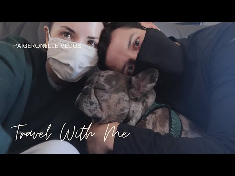 Travel With Me: San Diego to Puerto Rico