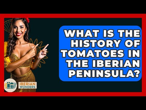 What Is The History Of Tomatoes In The Iberian Peninsula? - Iberian Wonders