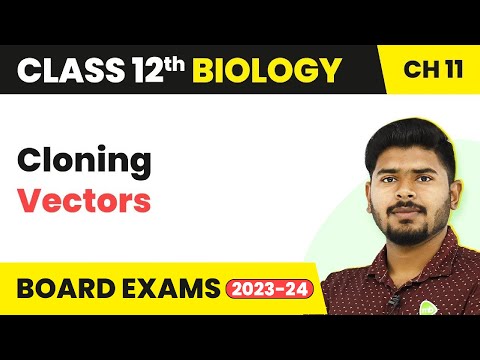 Cloning Vectors - Biotechnology Principles and Processes | Class 12 Biology (2022-23)
