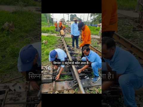 S&T Signal Maintainer