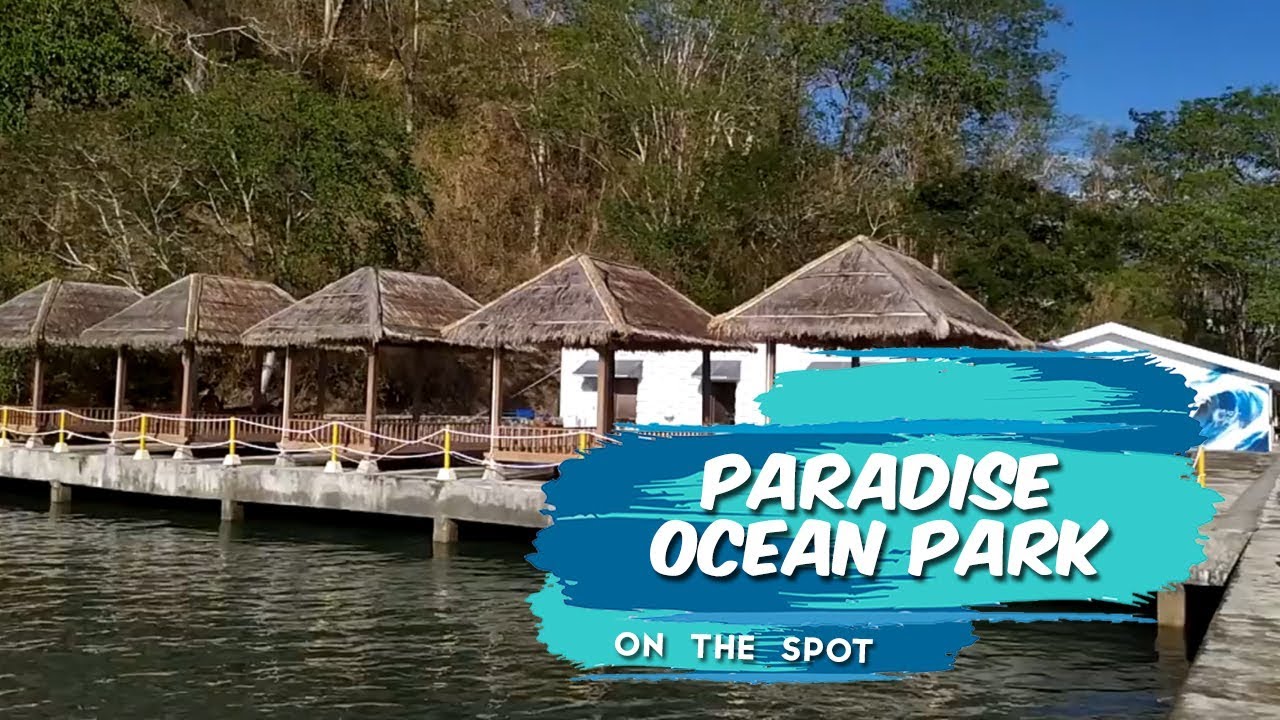 Paradise Ocean Park, Menikmati Snorkeling di Area Paradise Hotel Golf ...