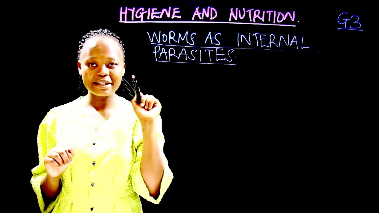 Grade 3 Hygiene and Nutrition Teacher Metrine - Worms as internal parasites