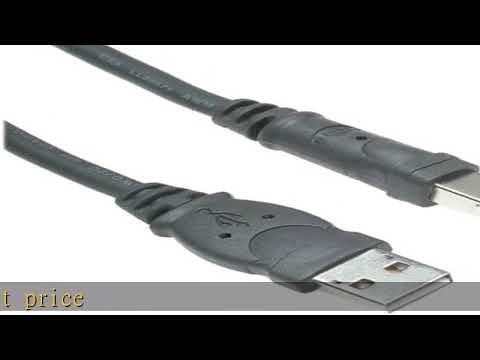 Belkin - F3U133b10 (F3U133b10) Hi-Speed USB A/B Cable, USB Type-A and USB Type-B (10 Feet) Black