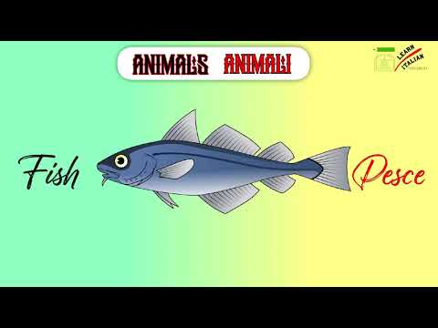 LEARN ANIMALS IN ITALIAN | Learn the Italian vocabulary | Alphabets in the Italian Language