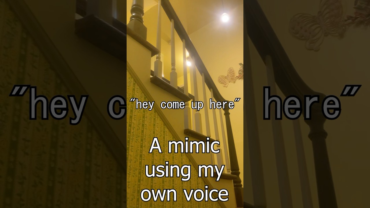 A mimic caught on camera using my voice