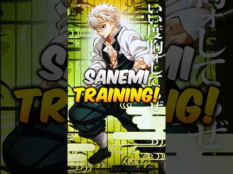 Sanemi's TRAINING Regimen Explained! (HashiraTraining Arc)