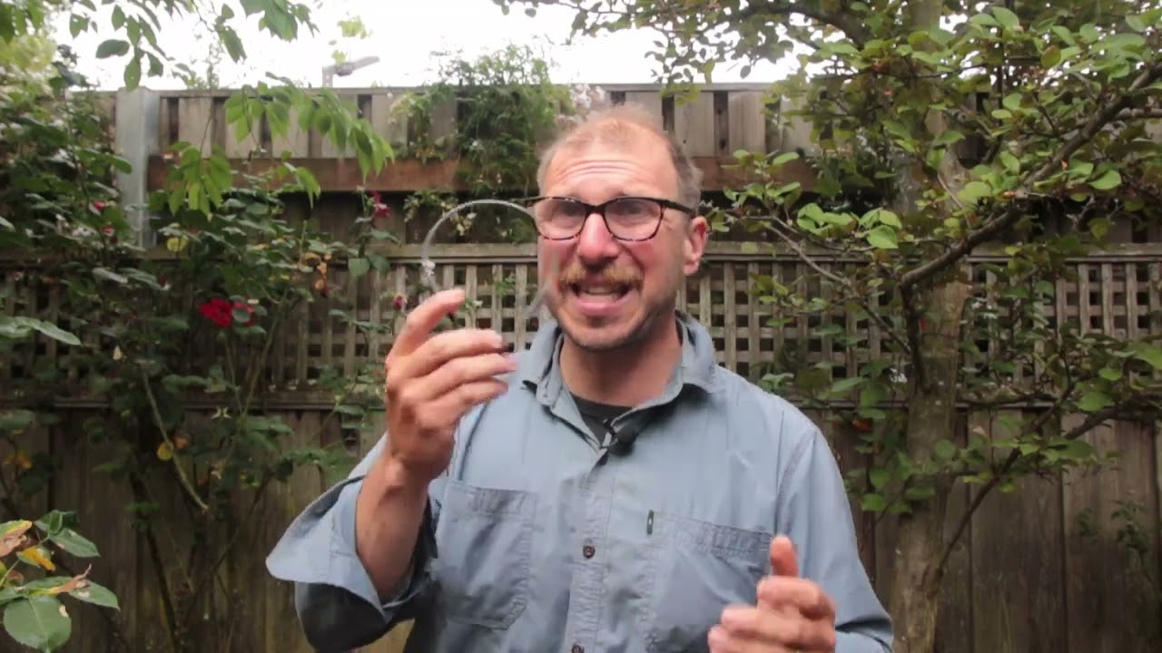 Shokz OpenMove Review - Great for listening. Bad for calls, Voice-AI.